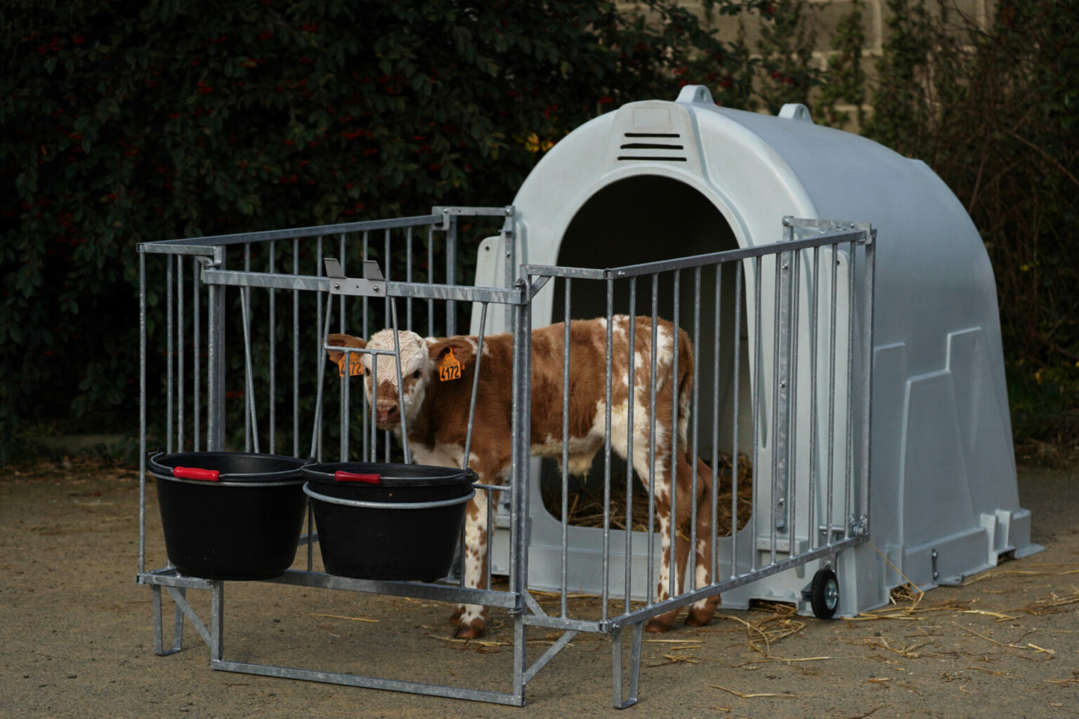 Article TEST 2 - Rototec